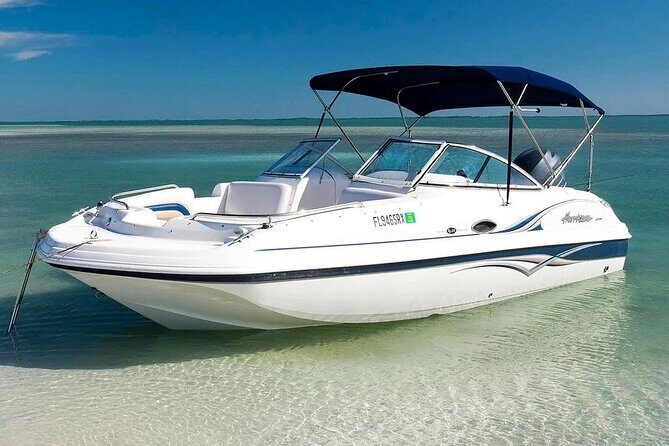 4HR Private bottom Fishing Charter with lunch - Final Thoughts: Is This Tour Worth It?