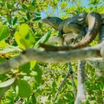 4HR Private Half-day Boat in Gracebay - Itinerary Breakdown: What Makes Each Stop Special