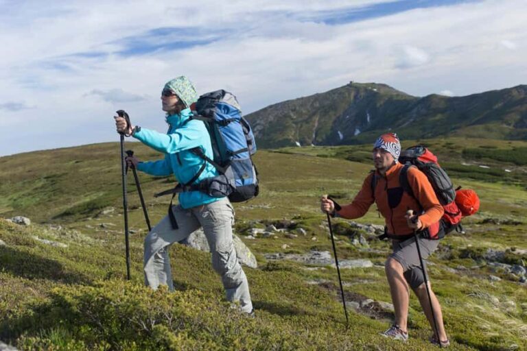 5-Day Chimgan Uzbekistan Trekking Tour - What You Can Expect Each Day