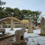 5-Day Trip Seoul and Vicinity Mountain Hiking Challenges - Why This Tour Offers Great Value