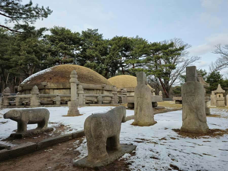 5-Day Trip Seoul and Vicinity Mountain Hiking Challenges - Why This Tour Offers Great Value