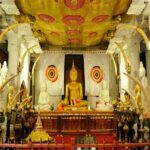 5 Days and 4 Nights Private Tour in Kandy Bentota and Colombo - The Practical Side: What to Expect
