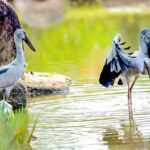 5 Days Private Bangladesh Tour Tea & Rainforest - How the Experience Feels