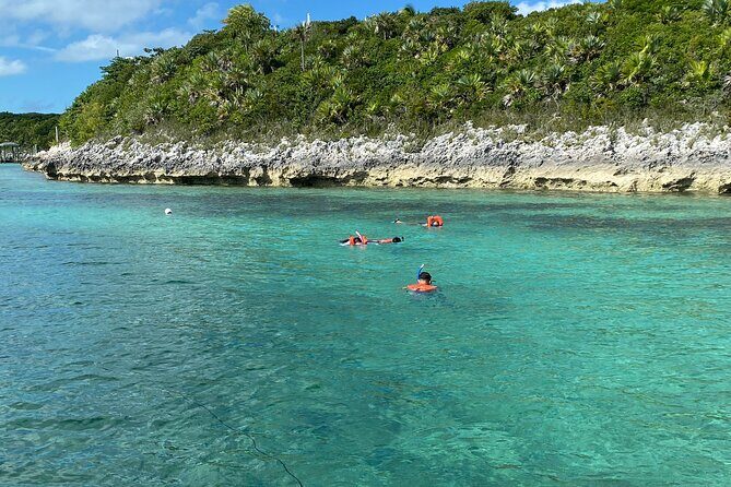 5 Hours Pigs and Turtles with Beach Stop in Bahamas - Practical Details and Tips