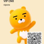 5 hours Private Car Trip around Chiang Mai - What to Expect on Your Custom Chiang Mai Tour