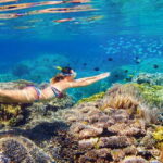 5 Secret Gili Boat Trip & Snorkeling in Southwest Of Lombok - In-Depth Breakdown of the Itinerary