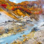 6-Day Classic Hokkaido Tour - Why This Tour Offers Good Value
