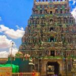 6-Day Classical Tamil Nadu Private Tour from Chennai - Analyzing the Cost & Experience