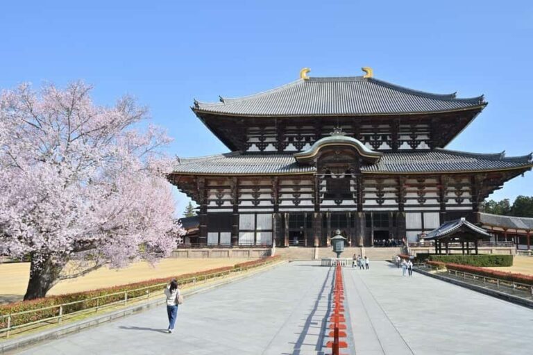 6-Day Osaka & Surroundings Tour - What Makes This Tour Worth Considering?