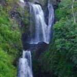 6-Day Toraja Experience Tour with Local Stay from Makassar - What Travelers Say