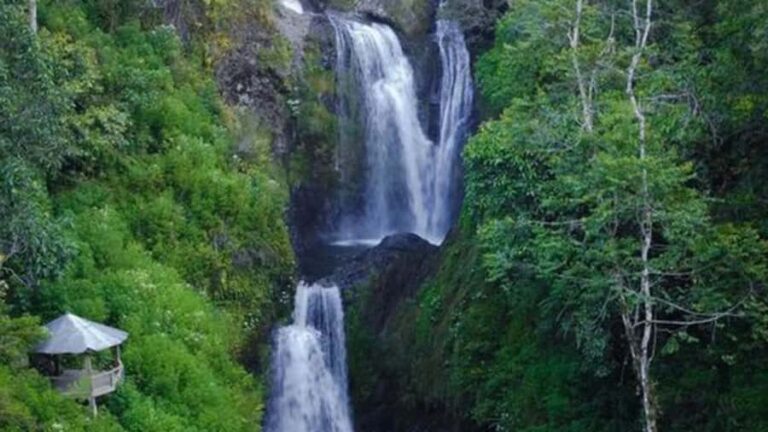 6-Day Toraja Experience Tour with Local Stay from Makassar - What Travelers Say