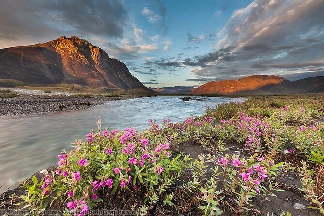 6 Days Best of Grand Alaska Highlights Tour - The Value of This Tour