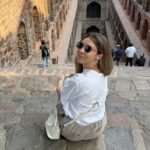 6 Days - Delhi, Agra, Ranthambore and Jaipur Private Guided Tour - Who Will Love This Tour?