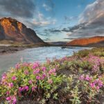 6 Days Grand Alaska Tour for Ages 50 Plus - Detailed Review of the 6 Days Grand Alaska Tour