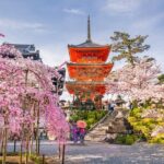 6 Days Japan Kanto, Kansai Tour - Practical Considerations
