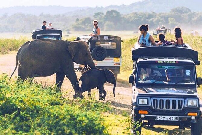 6 Days Tour of Sri Lanka - What the Tour Means for You