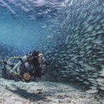 6 days unlimited diving - Final Thoughts: Is This Tour for You?