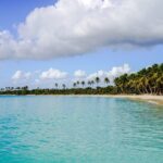 6 Hour Private Saona Island Tour with Snorkeling - Why Choose This Tour?