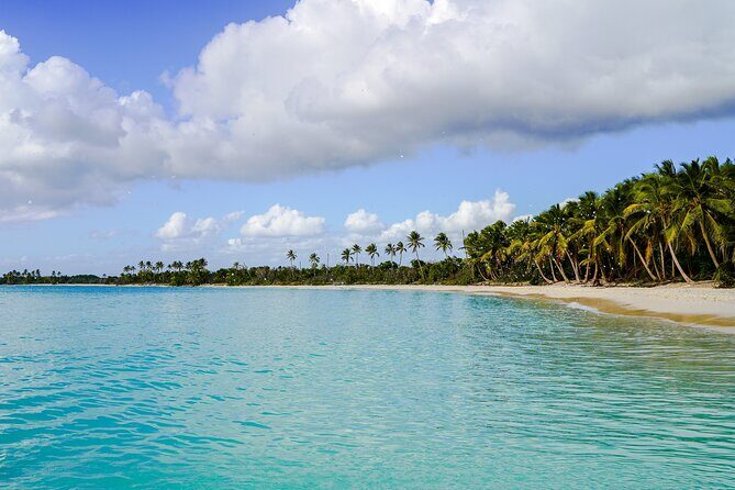 6 Hour Private Saona Island Tour with Snorkeling - Why Choose This Tour?