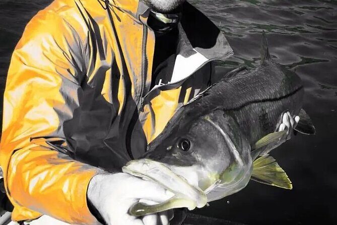 6 Hour Tarpon Springs, Florida Fishing Charter - Pricing and Value