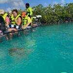 6-Passenger Motorized Clear Kayak Mangrove Tour in Providenciales - What to Expect from the Experience