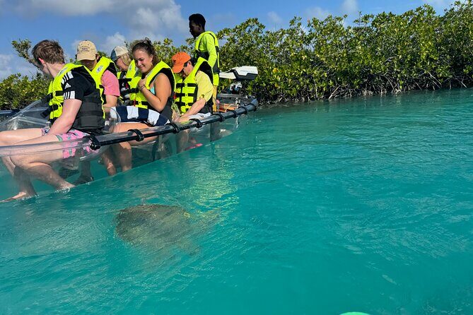 6-Passenger Motorized Clear Kayak Mangrove Tour in Providenciales - What to Expect from the Experience