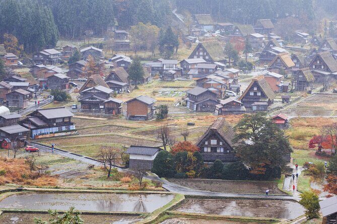 7 Day Hop-On Hop off Bus Pass from Tokyo, Takayama, Kyoto, Osaka - The Experience in Practice