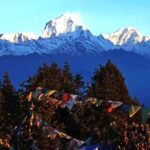 7-Day Poon Hill Trek with Guide and Accommodation - What Makes This Trek Stand Out?