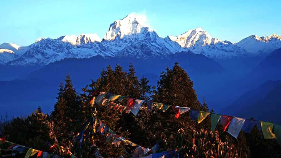 7-Day Poon Hill Trek with Guide and Accommodation - What Makes This Trek Stand Out?
