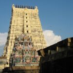 7-Day Tamilnadu Temple Private Guided Tour from Chennai - Who Will Get the Most Out of This Tour?