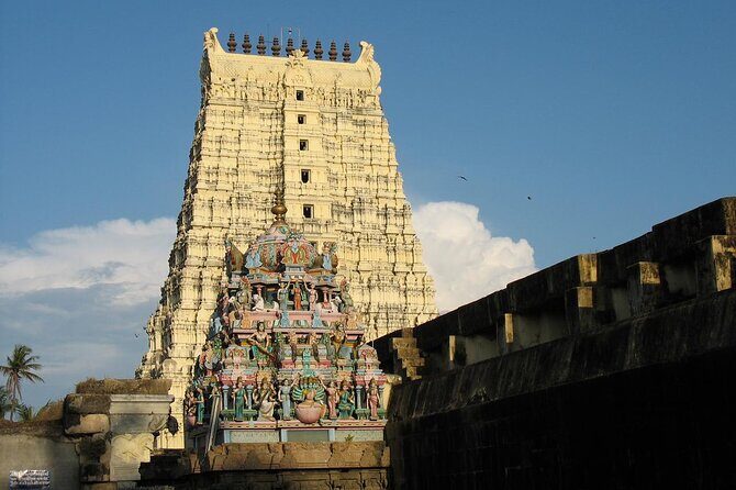 7-Day Tamilnadu Temple Private Guided Tour from Chennai - Who Will Get the Most Out of This Tour?