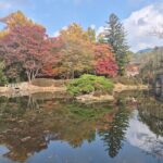 7-Day Tour of Korea's Rapid Growth and Culture - Overview of the Tour Experience