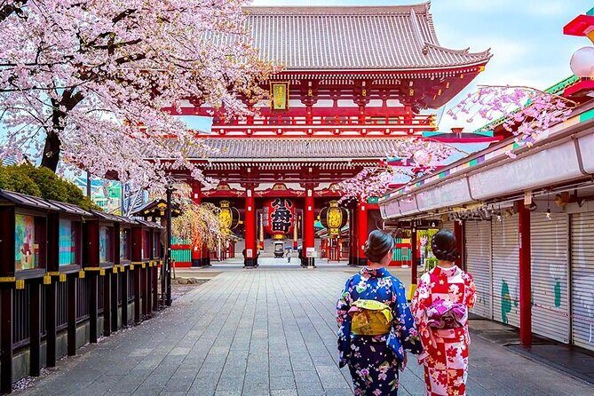 7 Days Customized Tokyo and Kansai Classic Family Tour - Who Will Love This Tour?