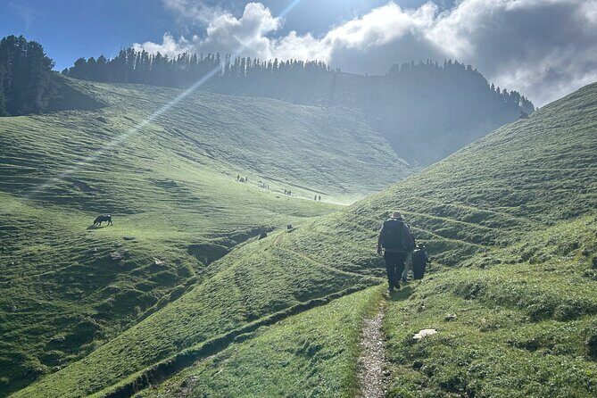 7 Days Pir Panjal Trek with Himalaya Shelter - What Makes This Trek Special?