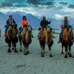 7 Days Private Ladakh India Tour with Transportation - Why This Tour Offers Great Value