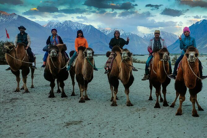 7 Days Private Ladakh India Tour with Transportation - Why This Tour Offers Great Value