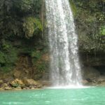 7 Hour- Private Nature Tour of the Monte Plata Rainforest - Key Points