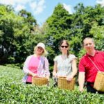 7 Hours Private Guided Tour Uji and Wazuka Matcha Farm - Analyzing the Value