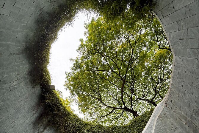 700 Years of Singapore A Join in River Cruise and Walking Tour - The Experience and Its Value