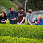 7hr Private Wazuka True Hidden Kyoto Matcha Farm Experience - Final Thoughts
