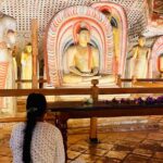 8 Day Guided Sri Lanka Cultural Heritage Tour - Who Is This Tour Best For?