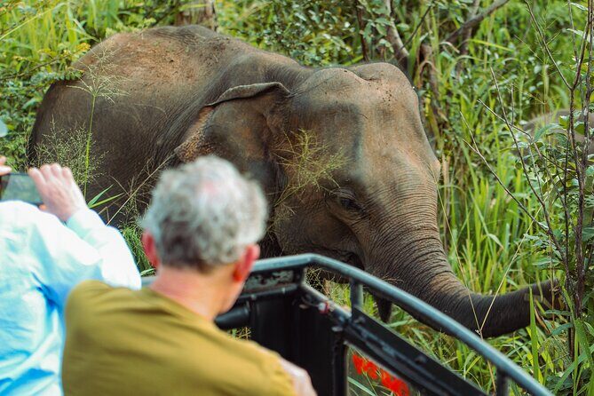 8 Day Private Sri Lanka Tour with Chauffeur - Day 2: Sigiriya and Village Life