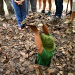 8 Day Tour in Vietnam from Ho Chi Minh to Hanoi - Authentic Experiences and Highlights