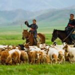 8 Days / 8 Lake area Central Mongolian horse trekking - An In-Depth Look at the 8-Day Mongolia Trekking Tour