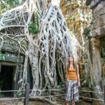 8 Days of Private Tour to Cambodia Angkor Complex Colonial Town - Why This Tour Offers Good Value