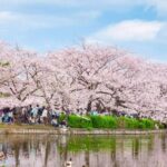9 Day Best of Japan Cherry Blossom Small Group Tour 2026 - The Value of This Tour