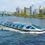 9 Days All Inclusive Japan Classic with Private Guide and Driver - Authentic Experiences and Insights