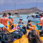 90 Minute Waikiki Turtle Canyon Snorkel - The Value of This Tour
