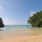 A 9 Day Private Tour Experience in Jamaica - Who Should Consider This Tour?
