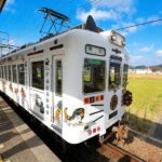 A Classic One-Day Tour from Kansai to Wakayama Prefecture - What to Expect from the Tour